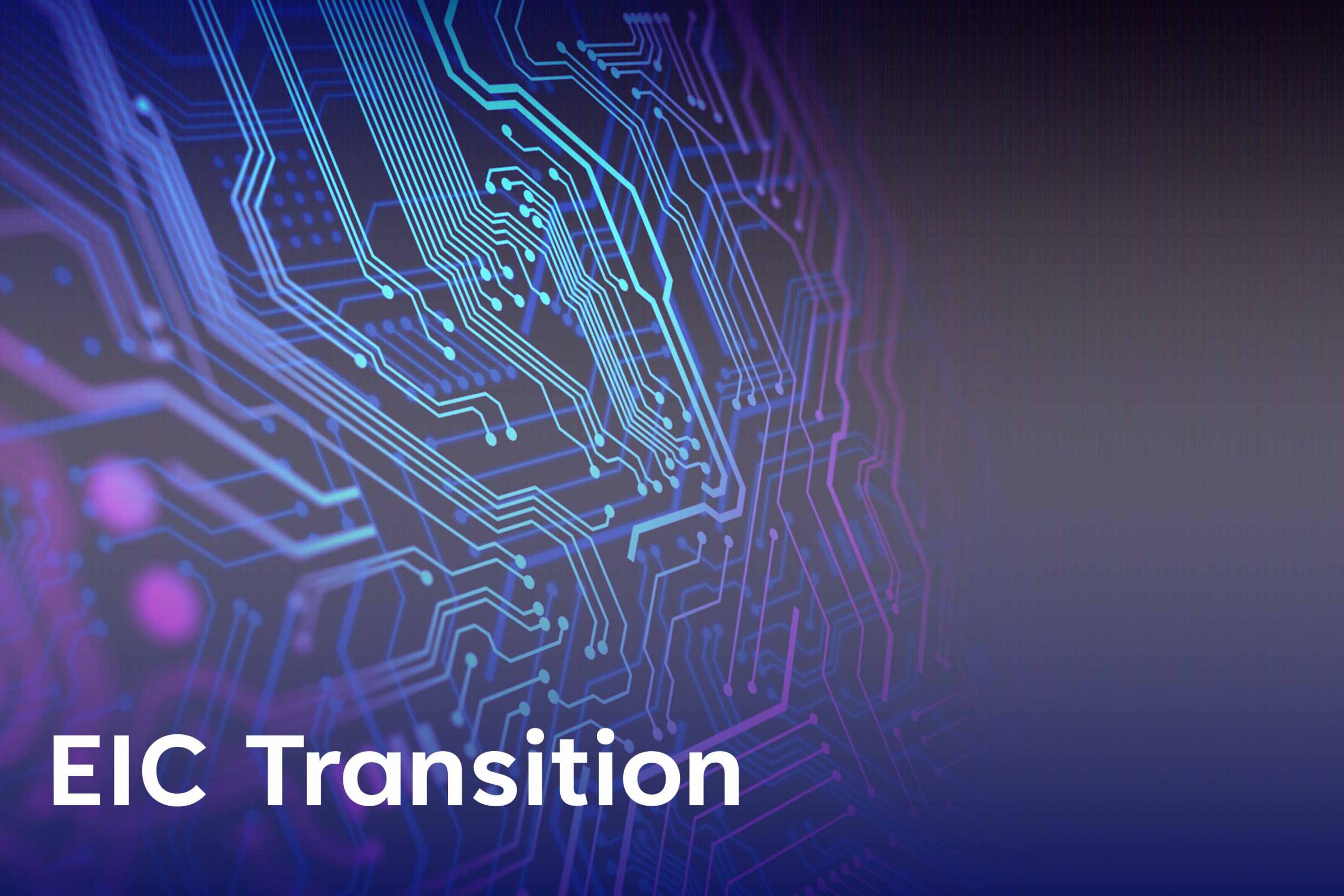 Servicios - Evolution Europe